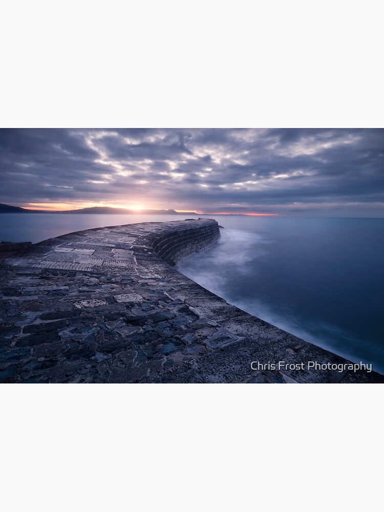 "Sea Serpent" Sticker for Sale by frostii77 | Redbubble