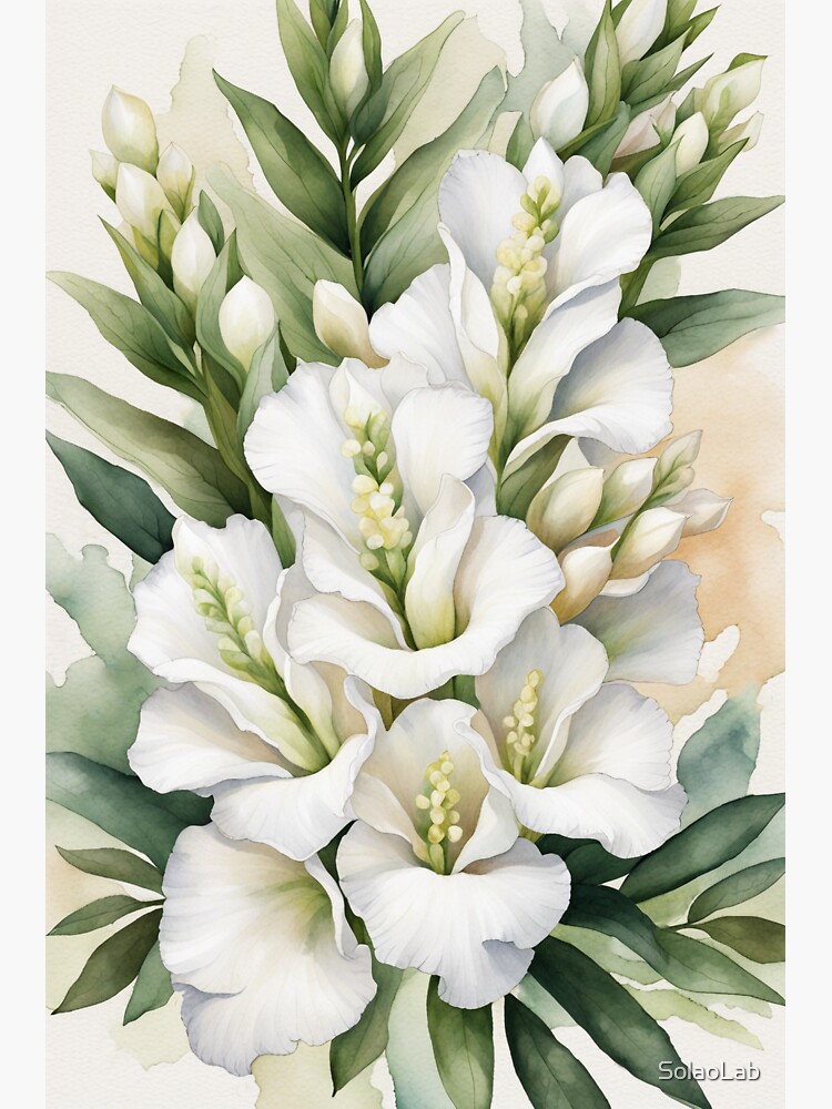"White Snapdragon flowers watercolor art" Sticker for Sale by ...