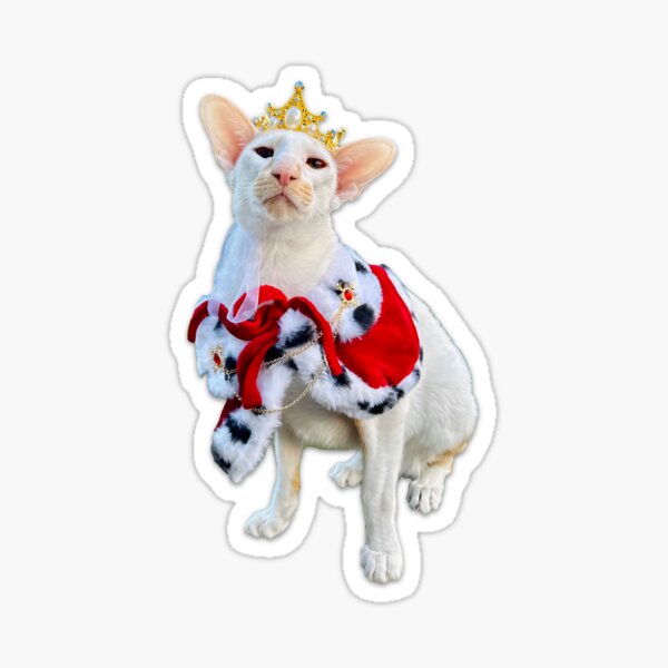"King Winston" Sticker for Sale by hannahzgreat | Redbubble