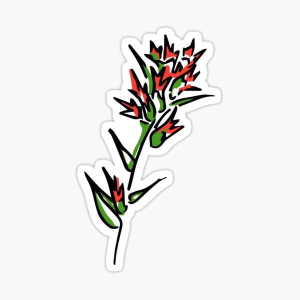 Blachigh Quality Indian Paintbrush Merch & Gifts for Sale | Redbubble