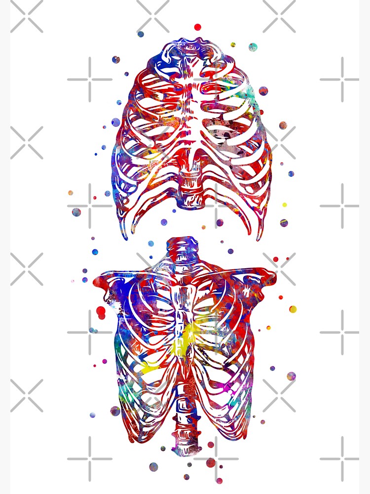 "Skeleton torso, watercolor skeleton torso" Sticker by Rosaliartbook ...