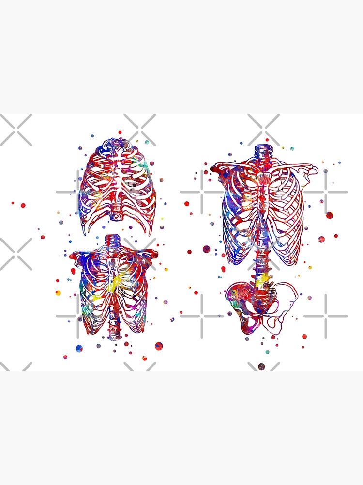 "Skeleton torso, watercolor skeleton torso" Sticker for Sale by ...
