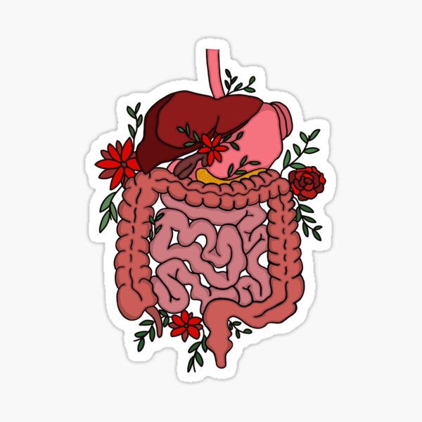 "Flower guts" Sticker for Sale by annahendrickson | Redbubble