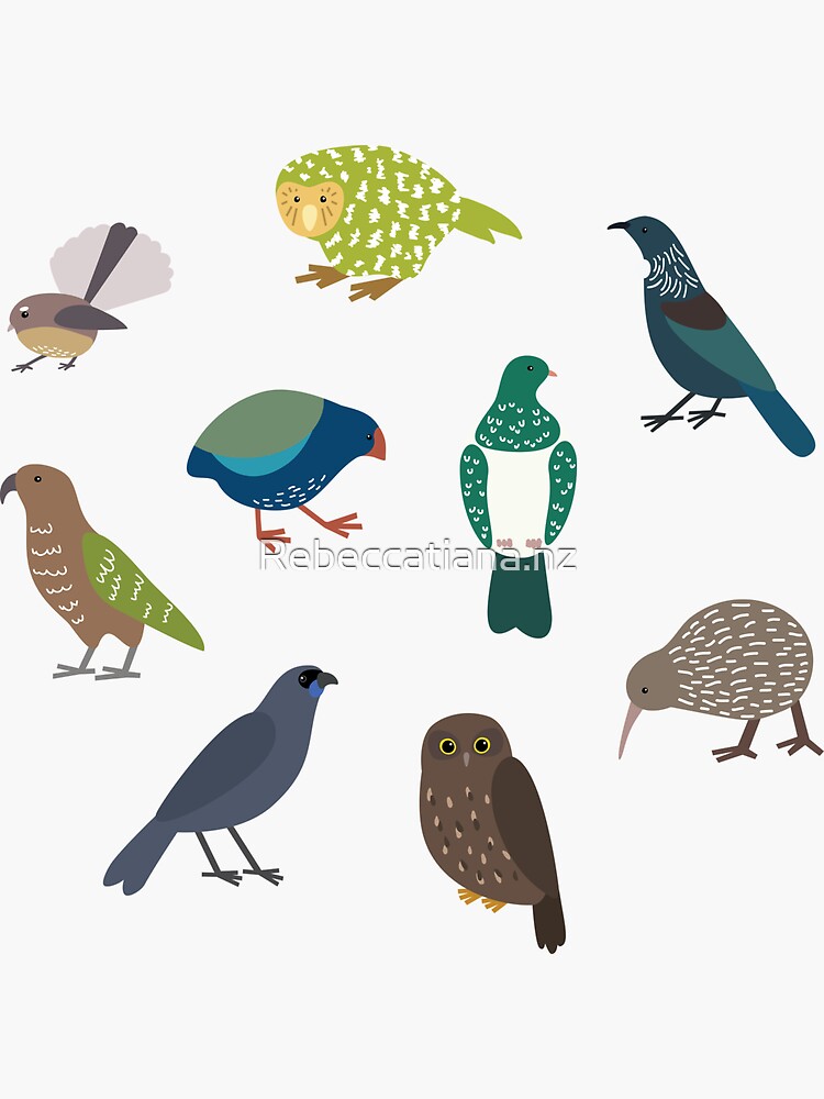 "Birds Of New Zealand | Sticker Pack | Kiwi, Kakapo, Tui, Fanatail ...