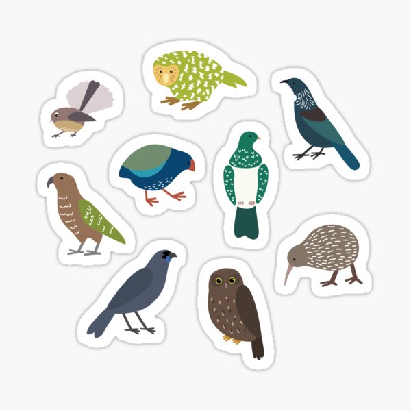 "Birds Of New Zealand | Sticker Pack | Kiwi, Kakapo, Tui, Fanatail ...