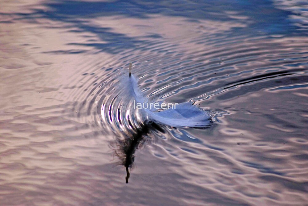 "Feather Ripples" by laureenr | Redbubble