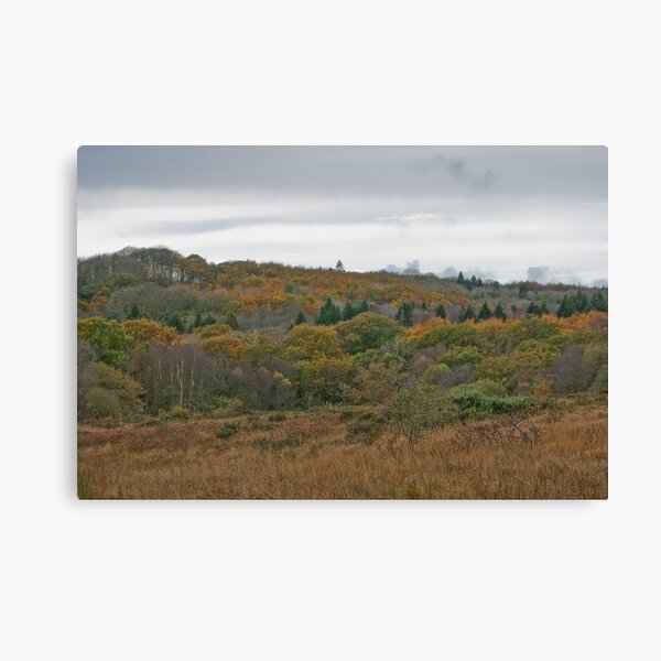 Gower Canvas Prints | Redbubble