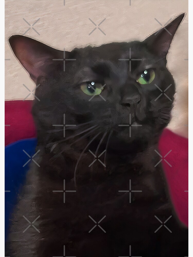 "Zoned out black cat meme" Sticker for Sale by Natalie-kha | Redbubble