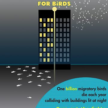 "Lights Out Bird Migration Alert" Sticker for Sale by theDirtGirl ...