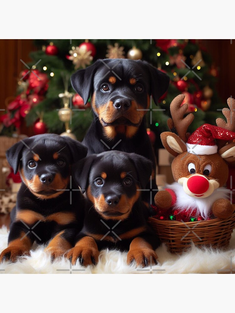 "Rottweiler Christmas scene Aiartist " Greeting Card for Sale by ...