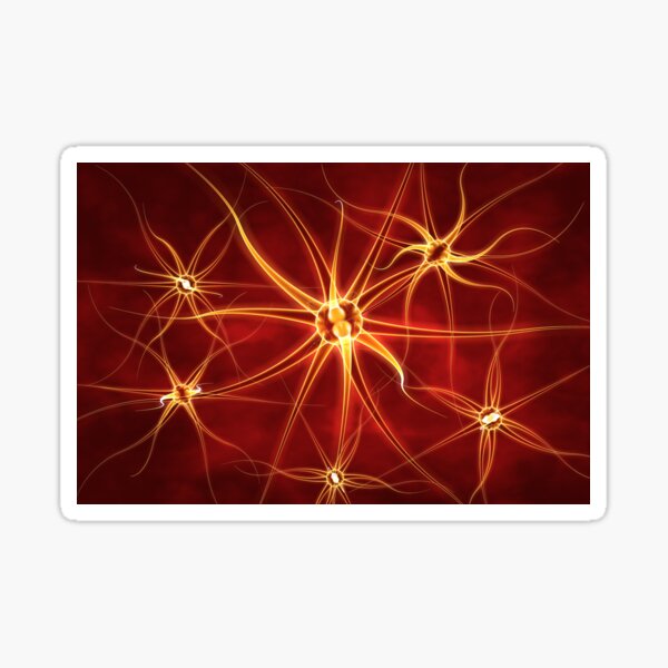 "Neurons, brain cells" Sticker for Sale by DrMicrobe | Redbubble