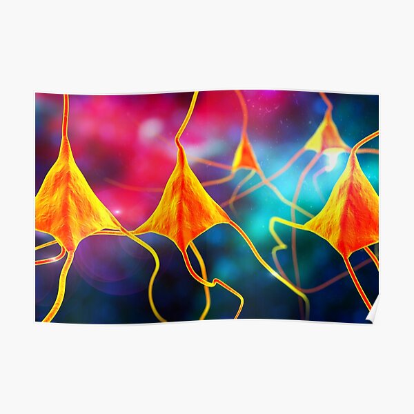 "Neurons, brain cells" Poster for Sale by DrMicrobe | Redbubble