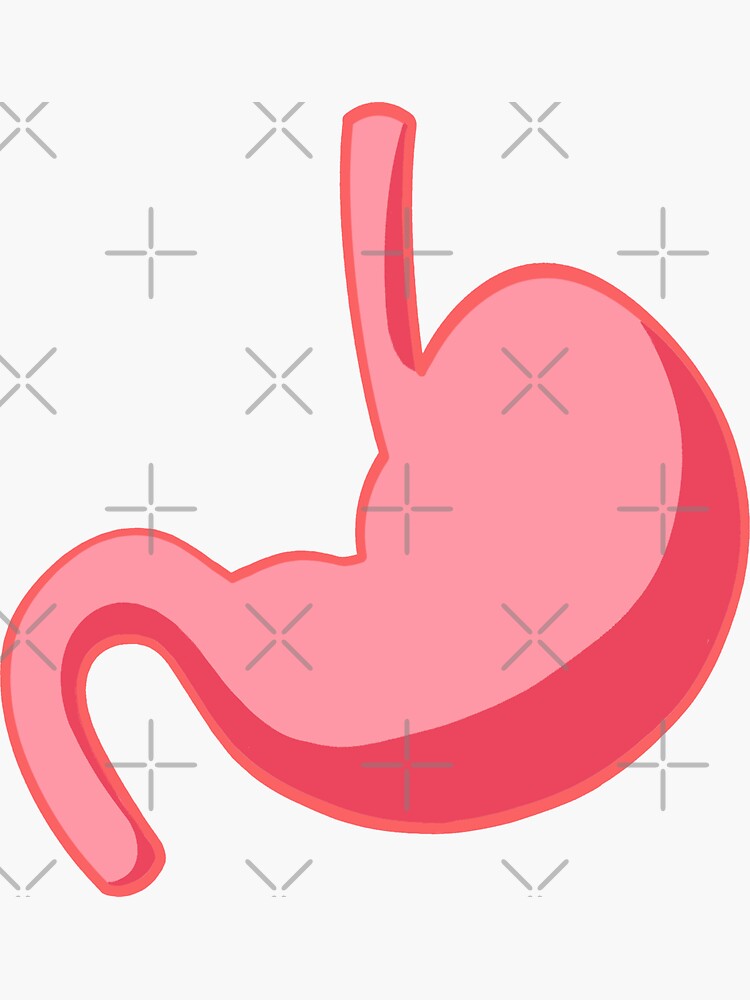 " human stomach internal organ." Sticker for Sale by Chattakan | Redbubble