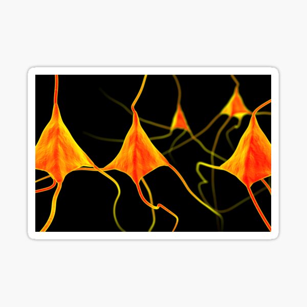 "Neurons, brain cells" Sticker by DrMicrobe | Redbubble
