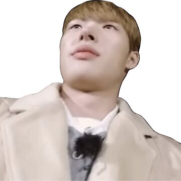 "Mingi Meme" Sticker for Sale by Exploding43 | Redbubble