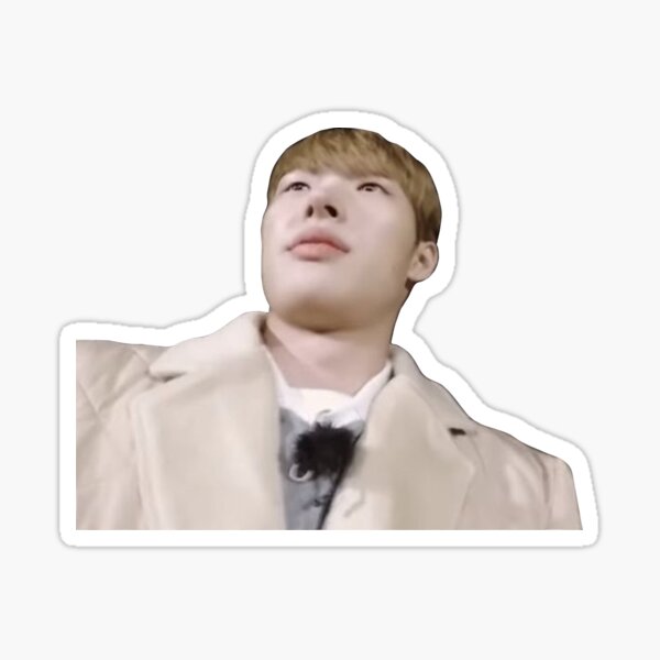 "Mingi Meme" Sticker for Sale by Exploding43 | Redbubble