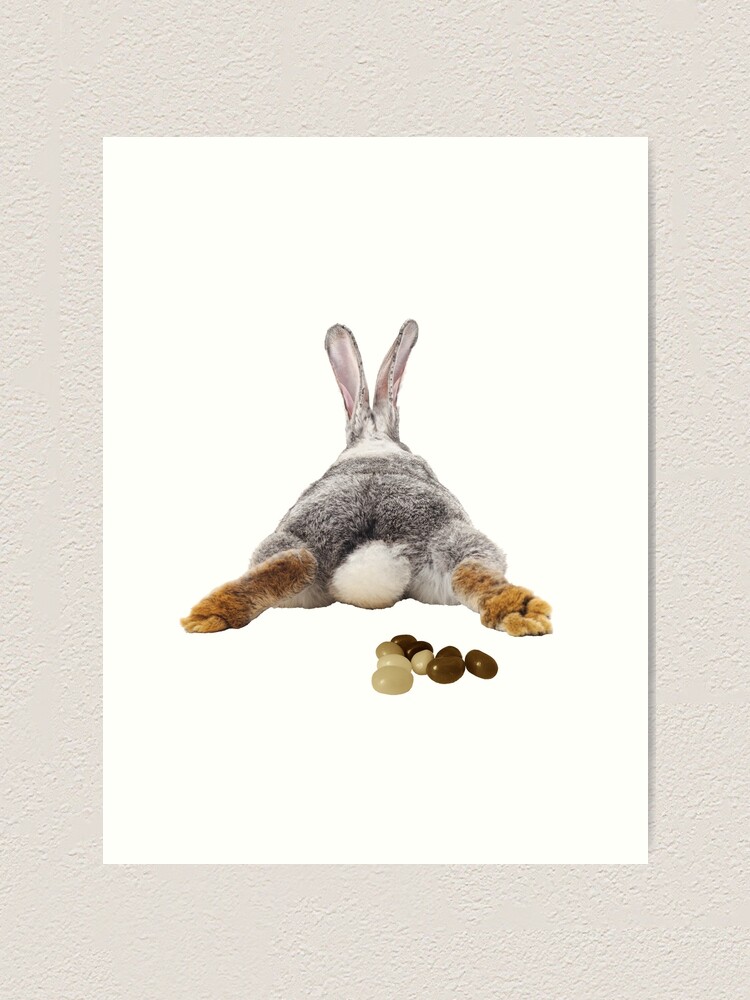 Bunny Rabbit Brown Jelly Beans Funny Art Print By Colorflowart Redbubble