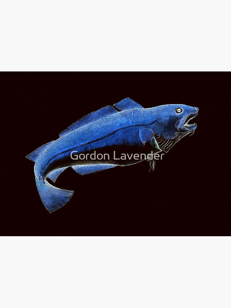 "Neon Cod fishing" Sticker for Sale by KoiPainting | Redbubble