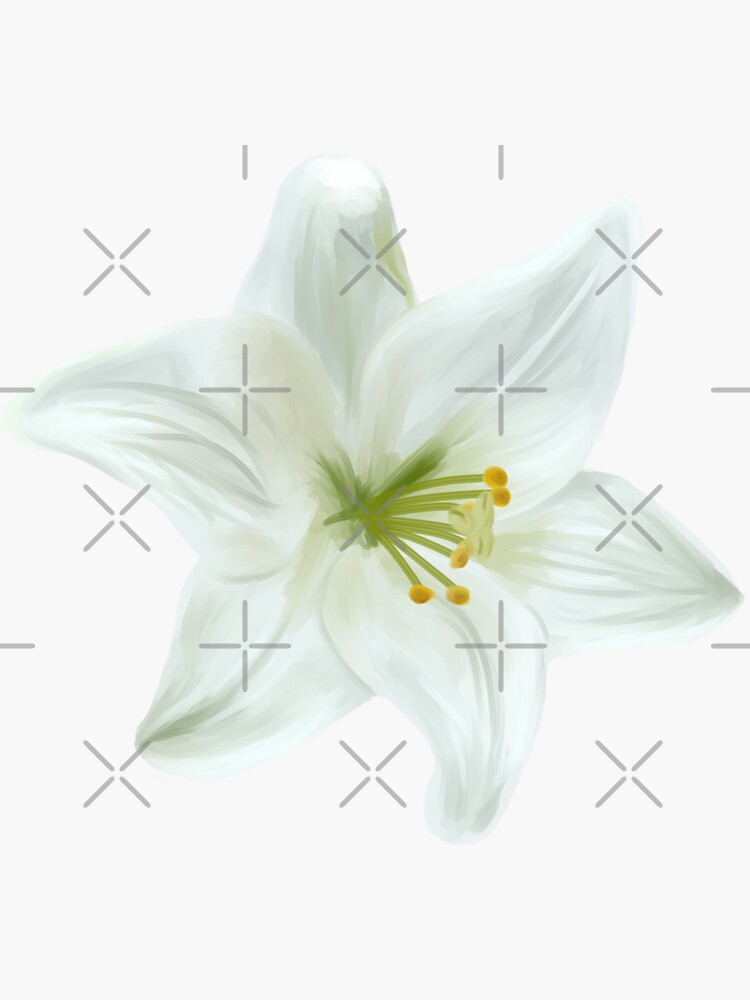 "Painted White Lily" Sticker for Sale by MossyMemory | Redbubble