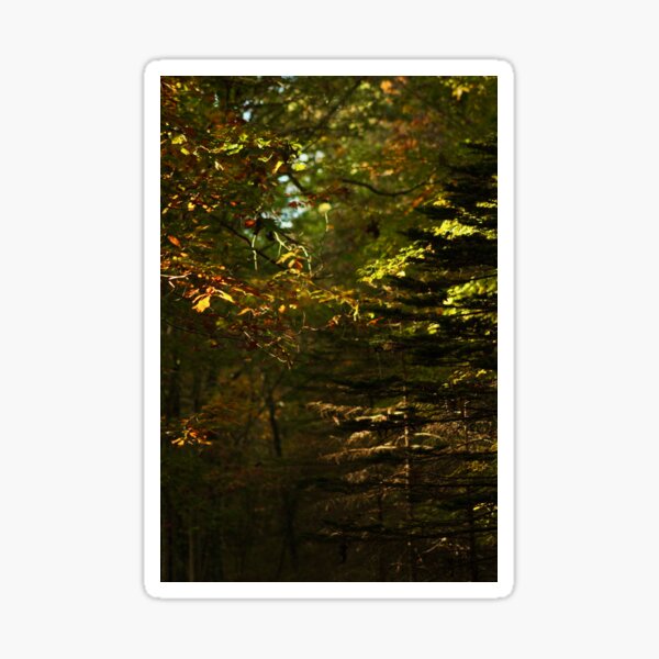 Kieran Benitez Shop | Redbubble