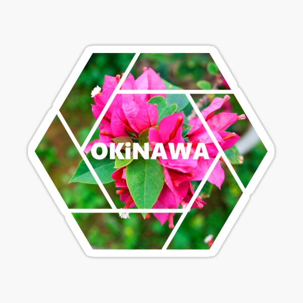 "Okinawa Graphic" Sticker by ShiroiTanpopo | Redbubble