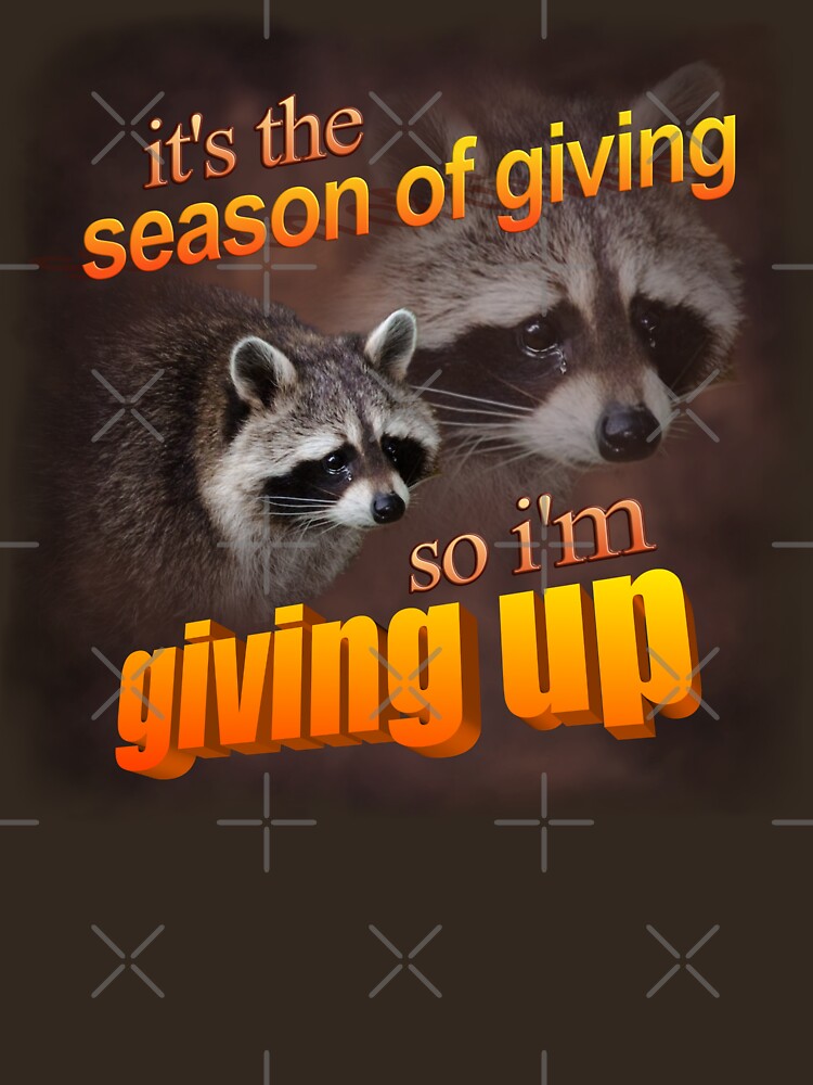 "It's the season of giving, so I'm giving up - holiday raccoon ...