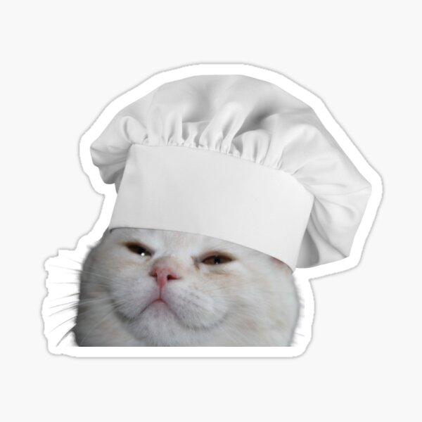 "Chef Cat Meme " Sticker for Sale by myholms | Redbubble
