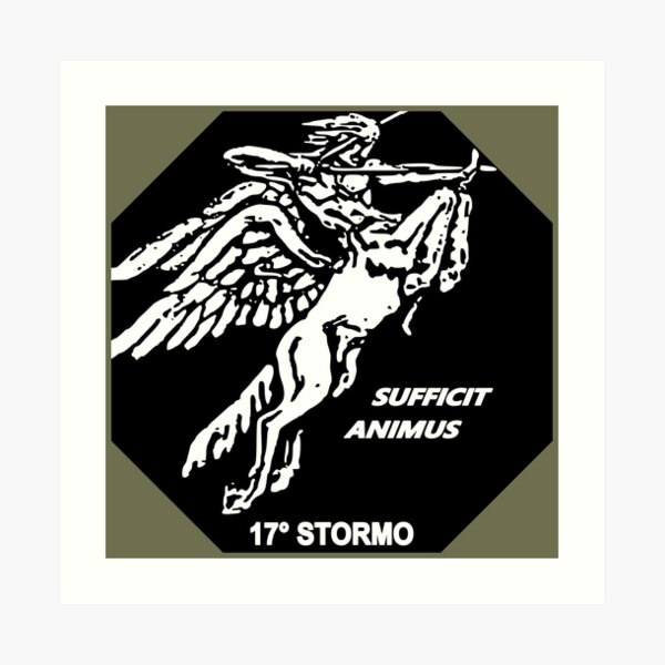 "17º Stormo Incursori - 17th Raiders Wing (Italian Air Force Special ...