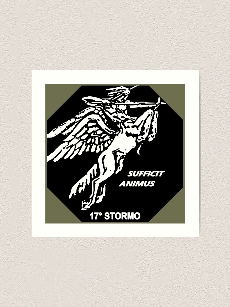 "17º Stormo Incursori - 17th Raiders Wing (Italian Air Force Special ...