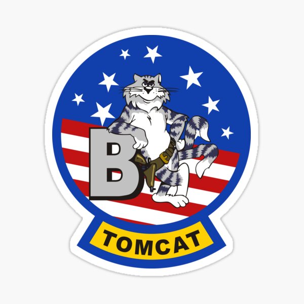 "Tomcat F-14B" Sticker for Sale by MBK13 | Redbubble