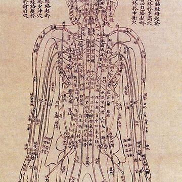 "Chinese Acupuncture Chart, 1906" Poster for Sale by ScienceSource ...