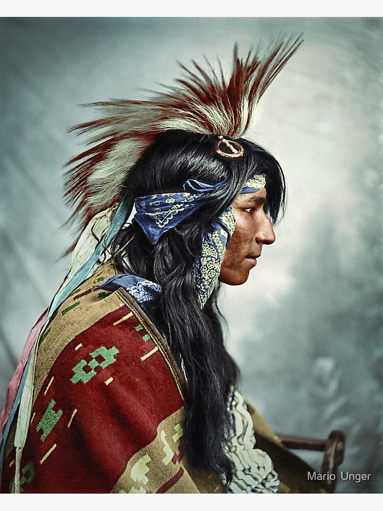 "Cree Indian 1900" Art Print for Sale by oldmadenew | Redbubble