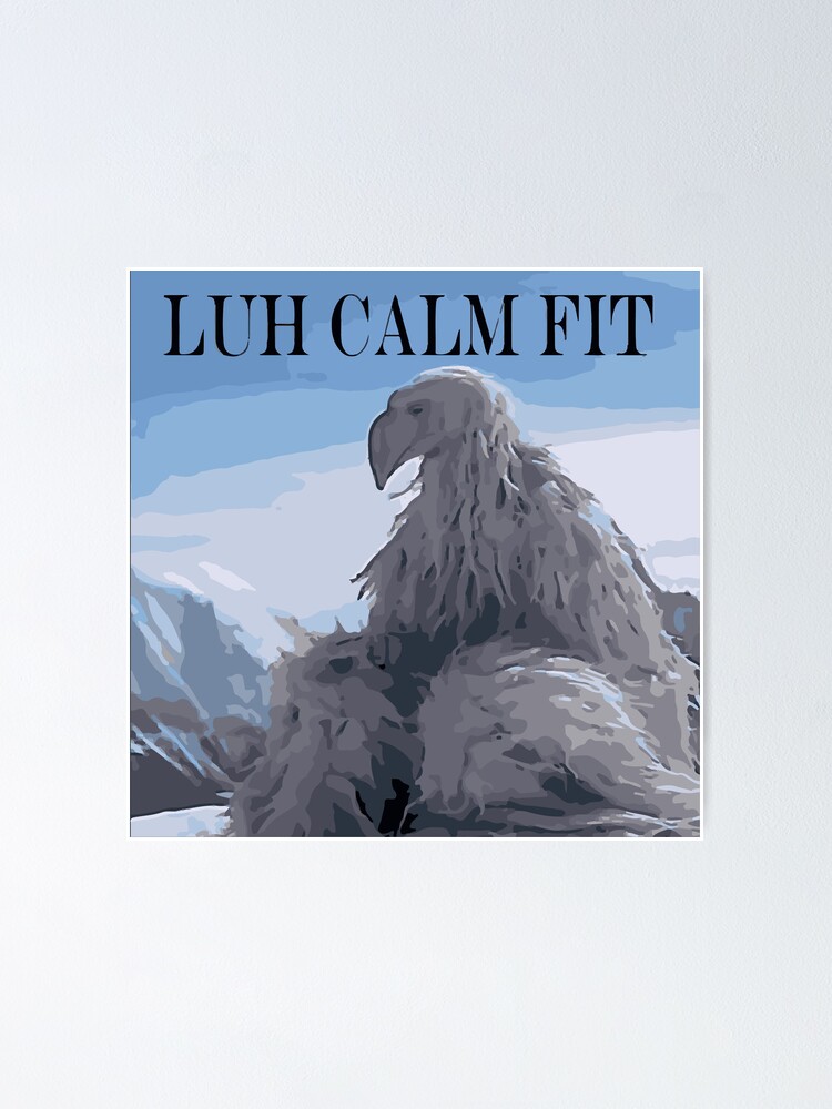"LUH CALM FIT, opium bird 2027 meme" Poster for Sale by nattdrws ...