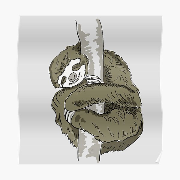 "sloth slothanimal lazy slow nap sleeping slow chill out chilling sloth ...