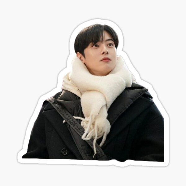 "cha eun woo" Sticker for Sale by Pop Krush | Redbubble