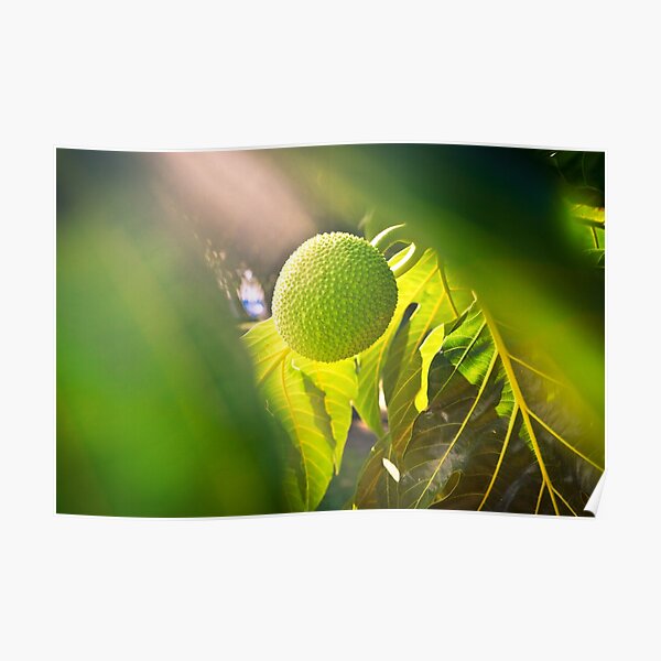 Ulu Gifts & Merchandise for Sale | Redbubble