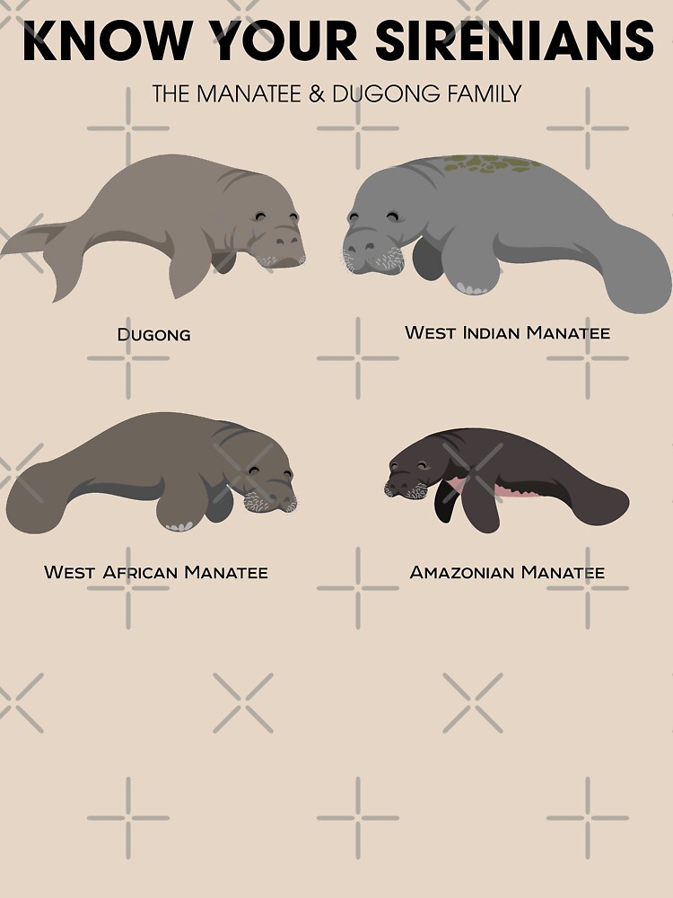 "Know Your Sirenians" Essential T-Shirt for Sale by PepomintNarwhal ...