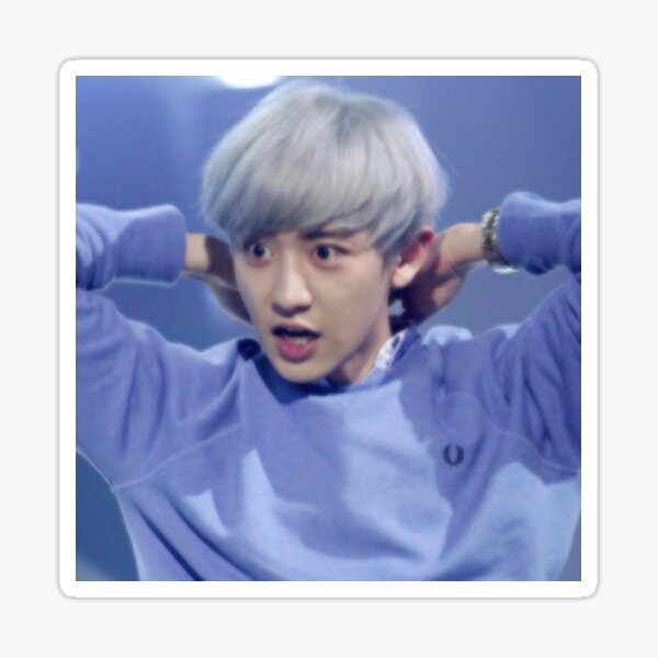 "SHOCKED CHANYEOL" Sticker for Sale by impishophelia | Redbubble