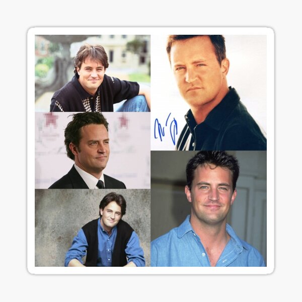 "matthew perry Signed" Sticker for Sale by ms-meowrye | Redbubble