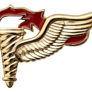 "Army Pathfinder Badge" Sticker for Sale by lewatrev | Redbubble