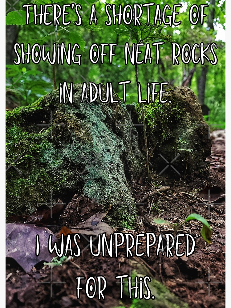 "Adult Life Needs More Neat Rocks" Sticker for Sale by TwistedP-Photos ...