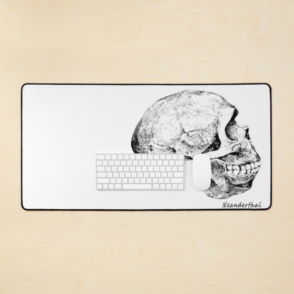 "Neanderthal Skull" Sticker for Sale by StudioEmilia | Redbubble