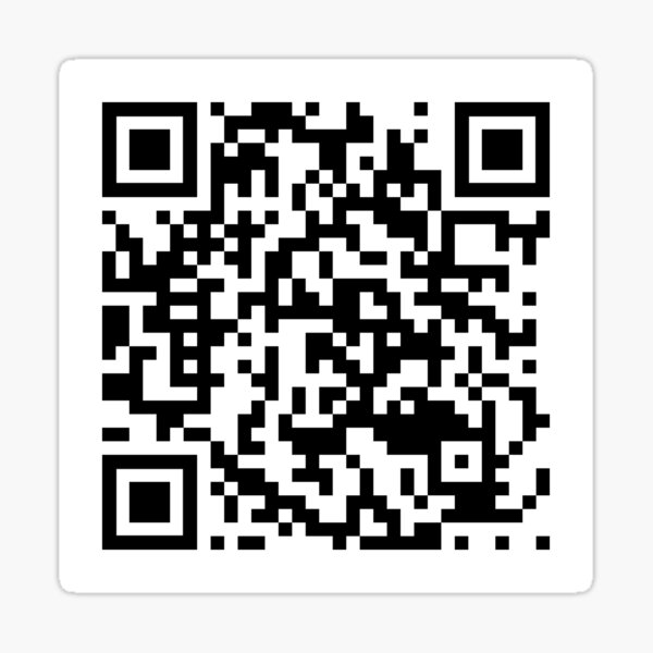 "Everybody loves Raymond car through house funny video qr code" Sticker ...