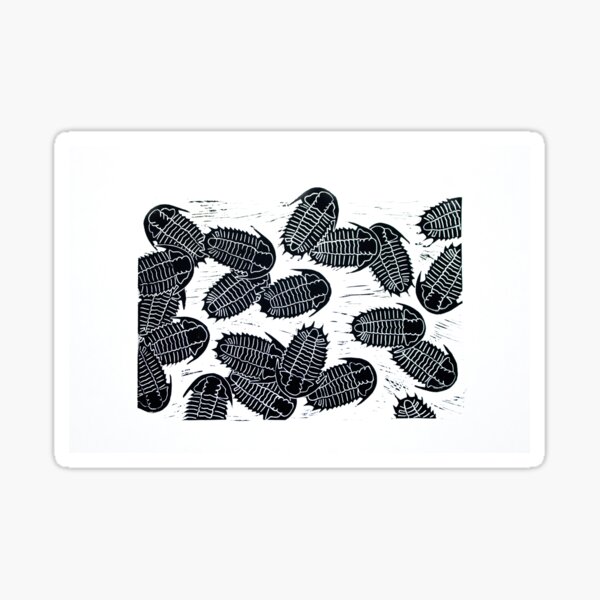 "Trilobite Fossil" Sticker for Sale by IanSeccombe | Redbubble