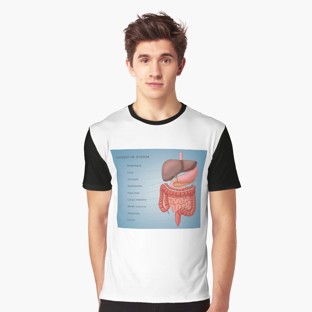 "Digestive System Organs, Medical Illustration With Labels" Sticker for ...