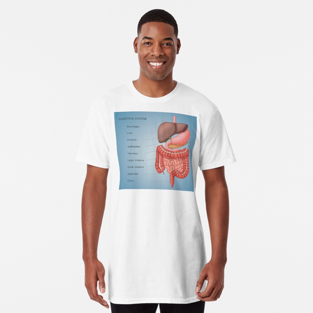 "Digestive System Organs, Medical Illustration With Labels" Sticker for ...