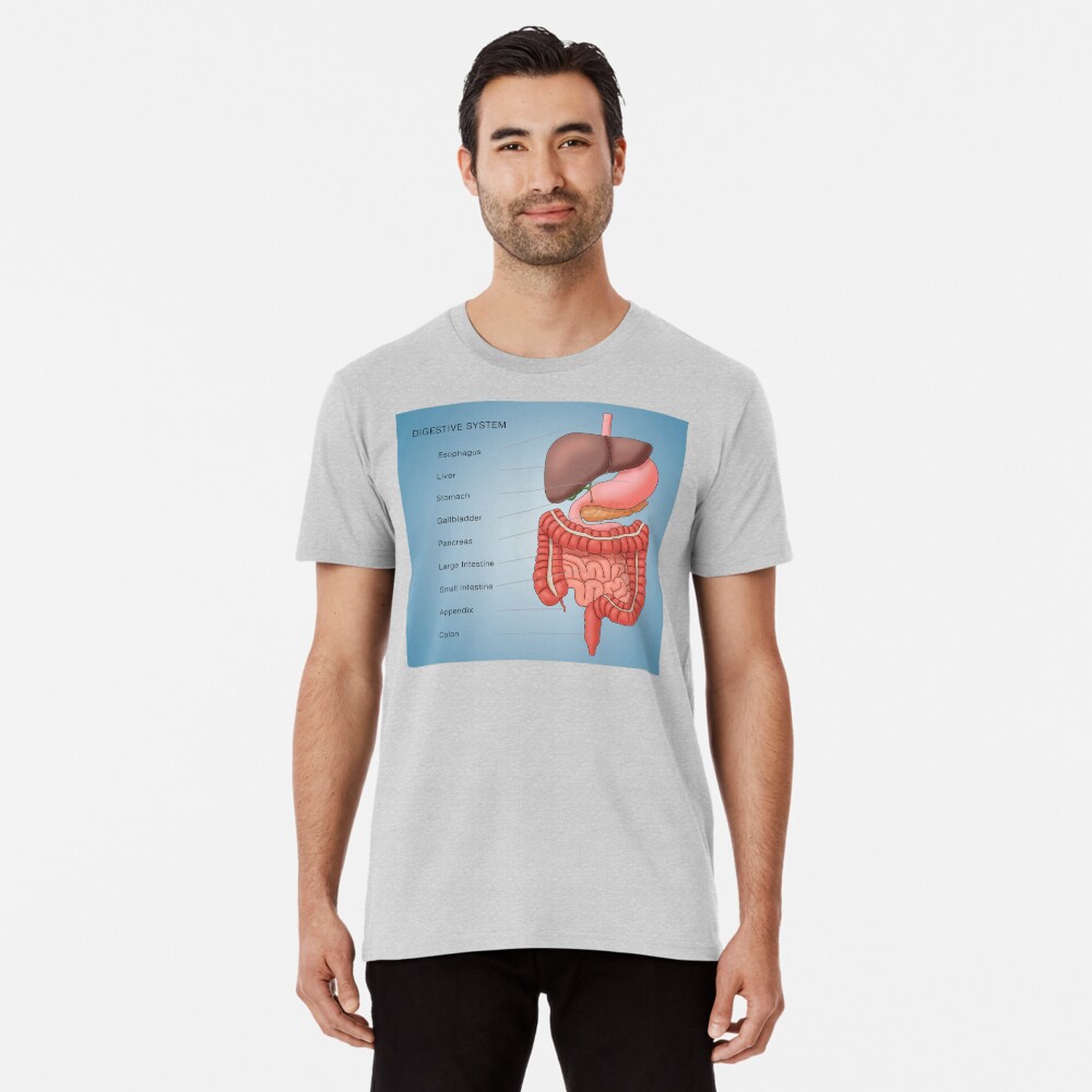 "Digestive System Organs, Medical Illustration With Labels" Sticker for ...