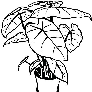 "Alocasia Houseplant Line Drawing" Sticker for Sale by makesbymiss ...