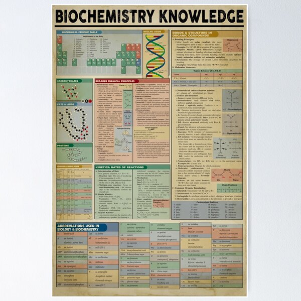 "Biochemistry Knowledge " Poster for Sale by SameeraDammeyer | Redbubble