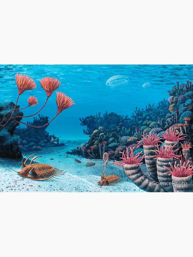 "Trilobites of the early Devonian, artwork (C022/9435)" Sticker for ...